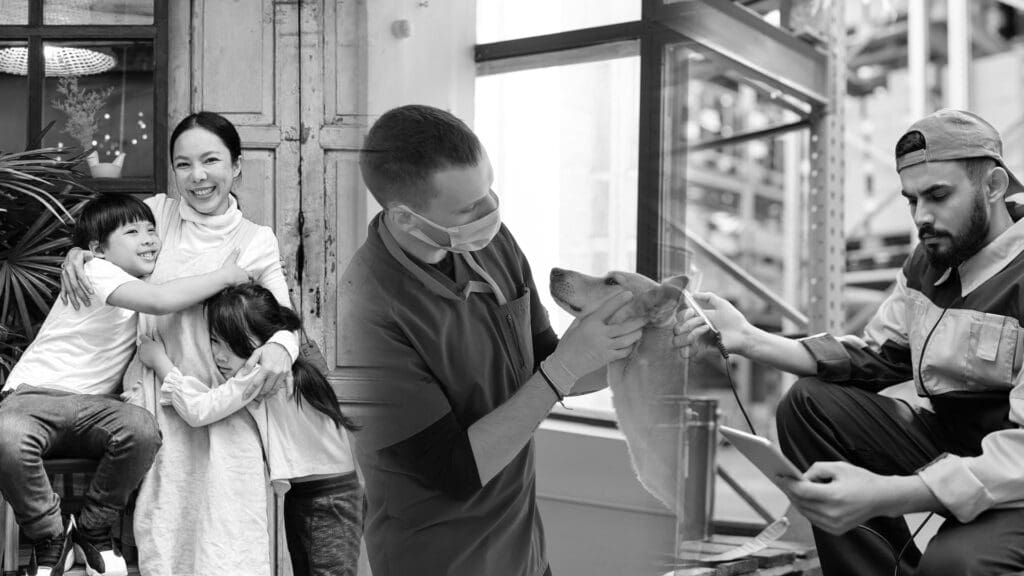 Book a Consultation | Regional Migration Australia