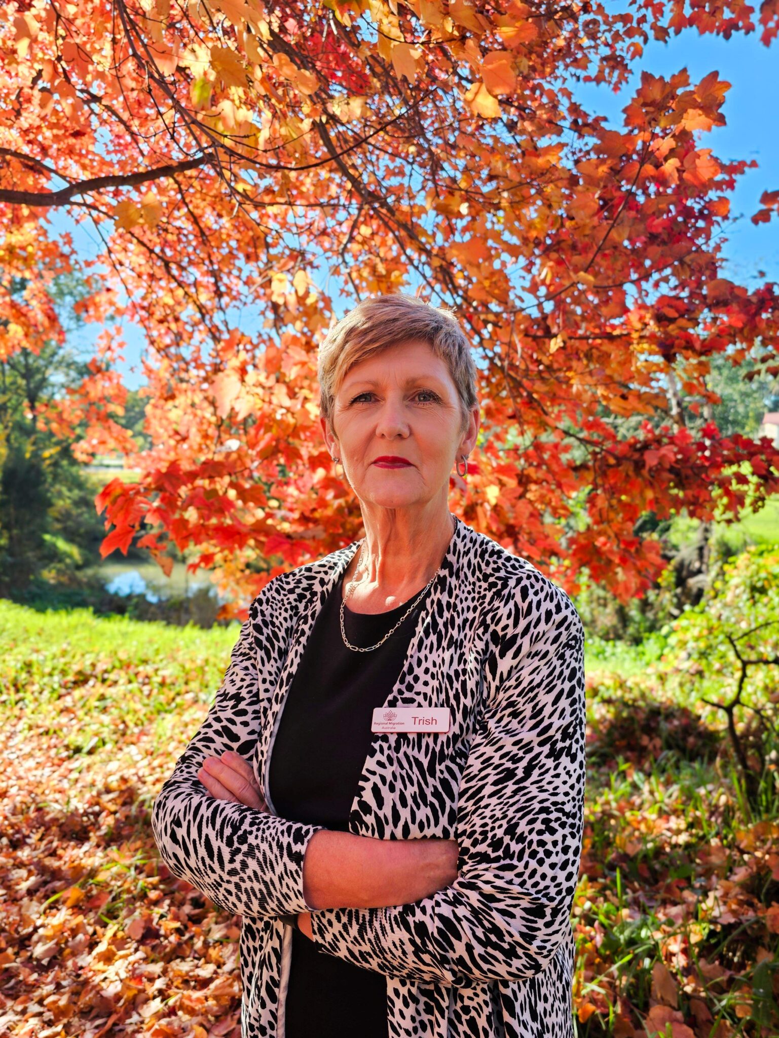 About | Regional Migration Australia